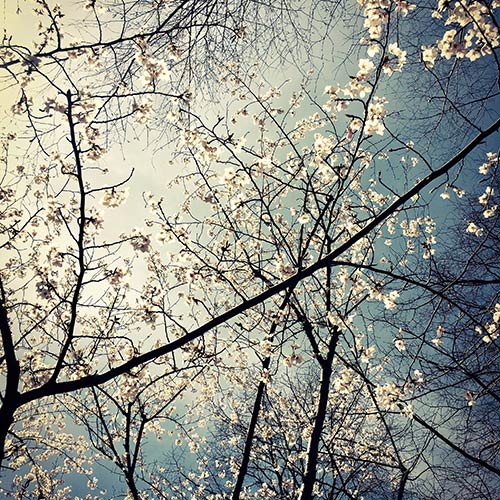 Nvidia Announces Omniverse Expansion -- MedCloudInsider